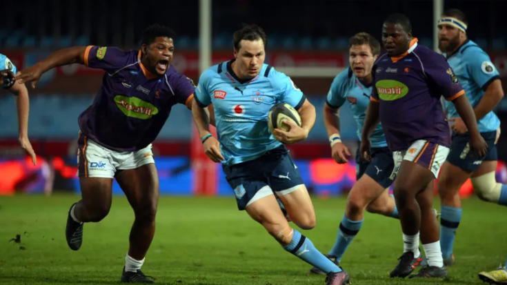 Home - NovaVit Griffons